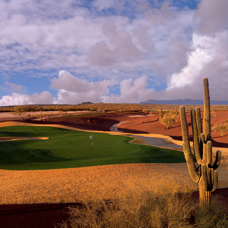 Gallery - Poston Butte Golf Club